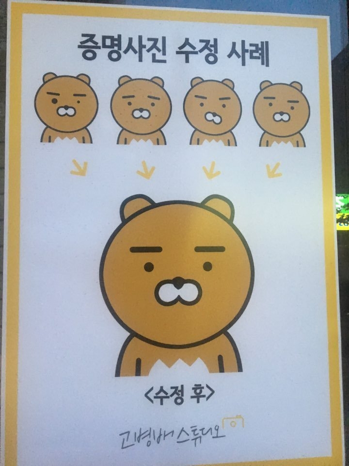 라이언 짤과 움짤 모음 - 짤봇