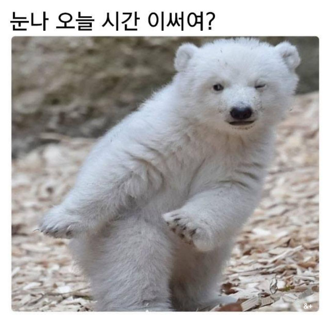 눈나 오늘 시간 이써?